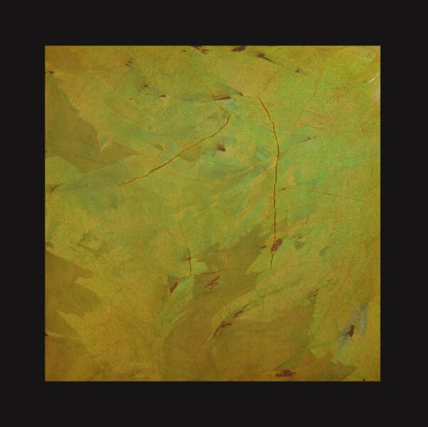Artist Profile: Natalja Heybroek – Curating Innovation